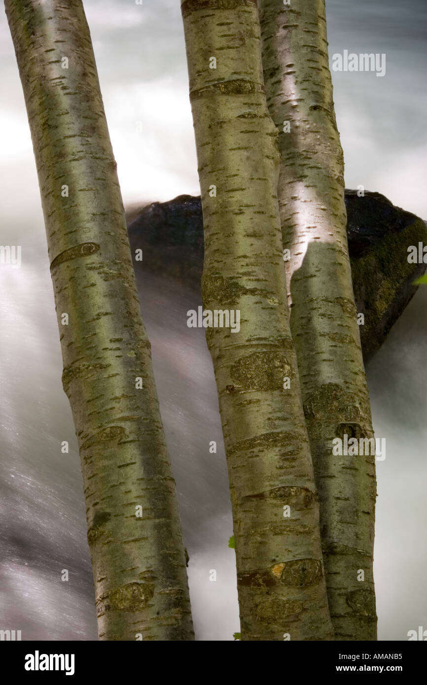 Lean red hi-res stock photography and images - Alamy