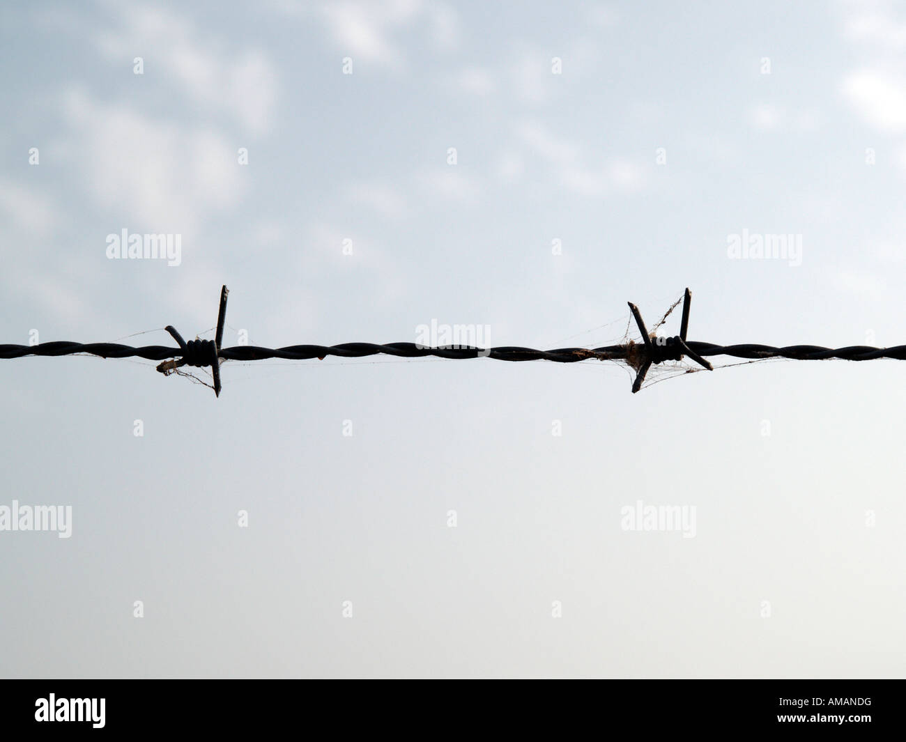 Single strand of wire hi-res stock photography and images - Alamy