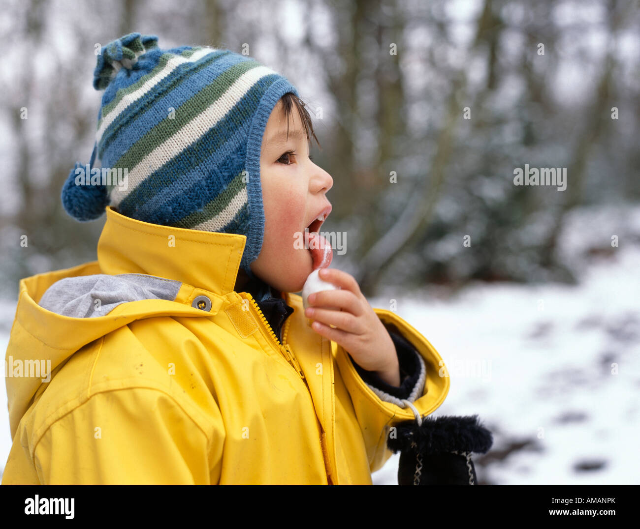 A young boy licking a snowball Stock Photo - Alamy