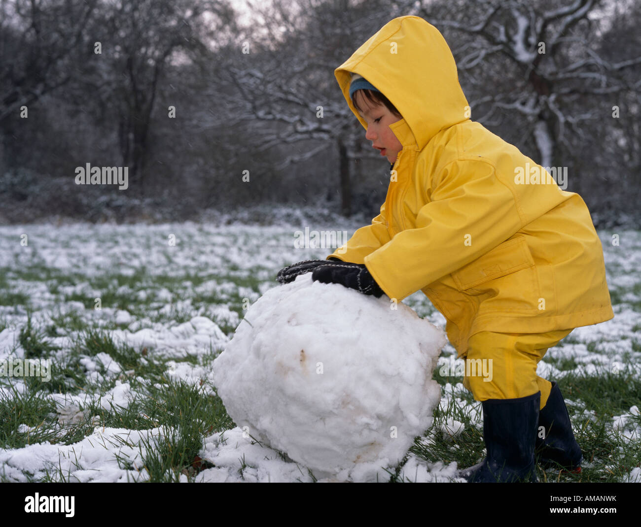 A young boy making a snowman Stock Photo - Alamy