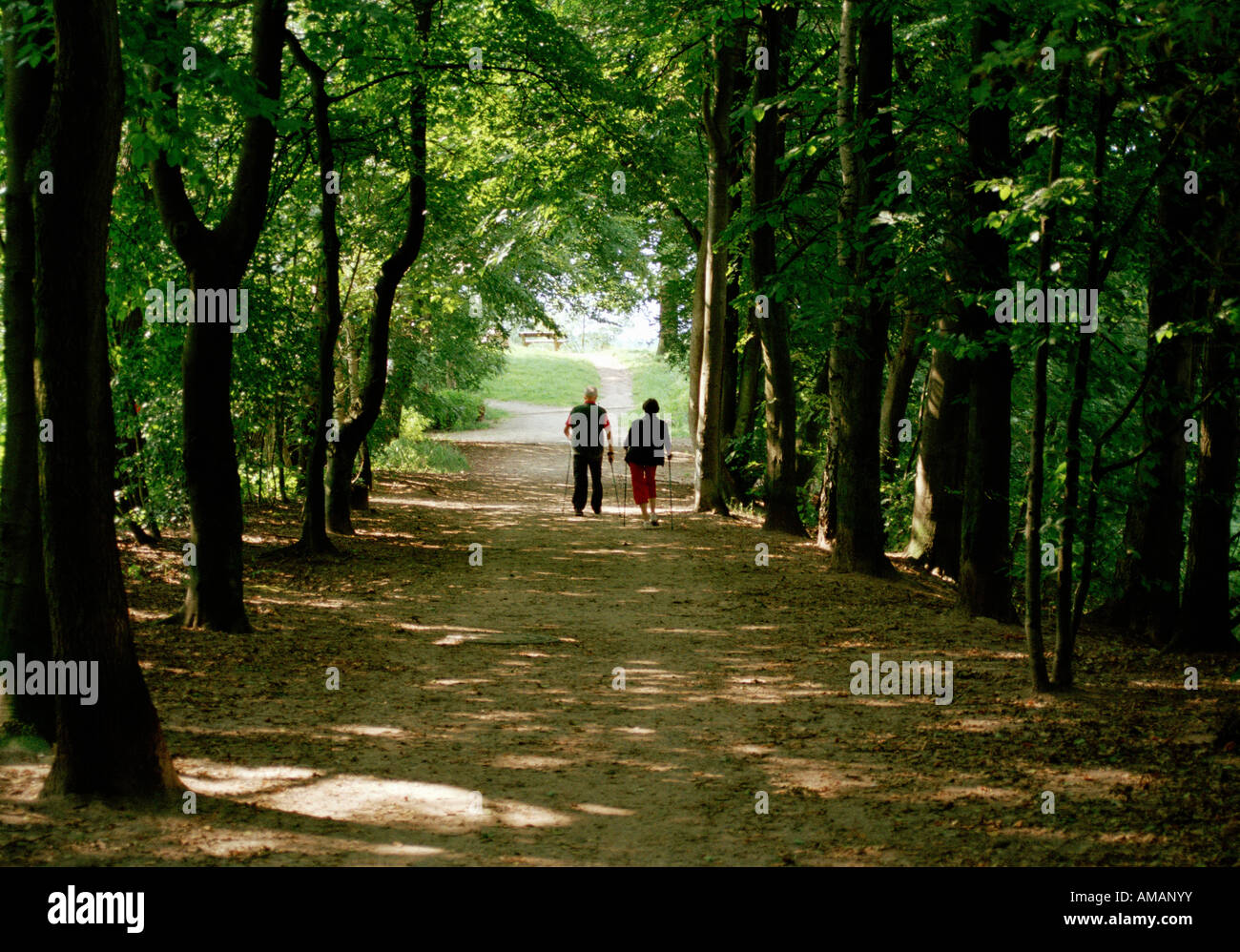 An elderly couple walking along a tree lined path Stock Photo - Alamy