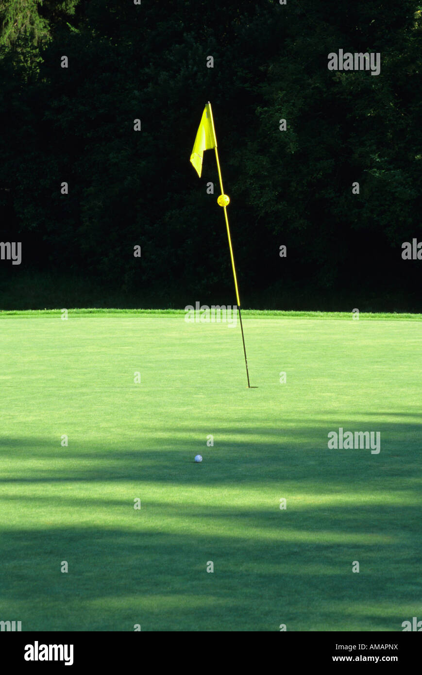 Course vertical hi-res stock photography and images - Alamy