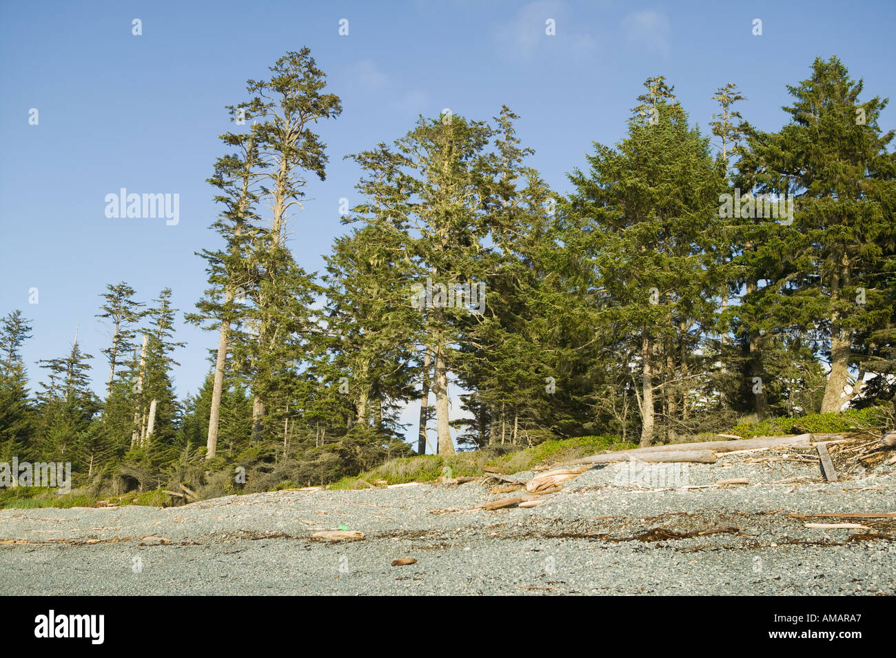 Roller Bay Hope Island British Columbia Canada Stock Photo - Alamy