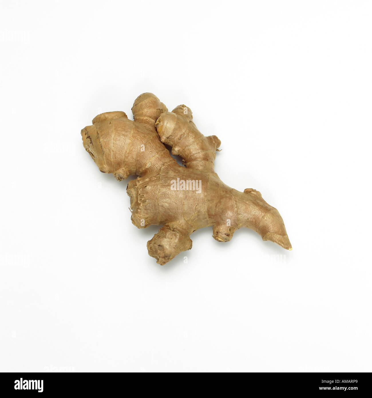 Feature ginger hi-res stock photography and images - Alamy