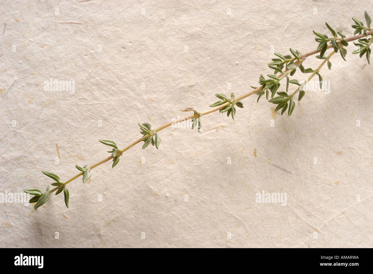 Handmede organic paper hi-res stock photography and images - Alamy