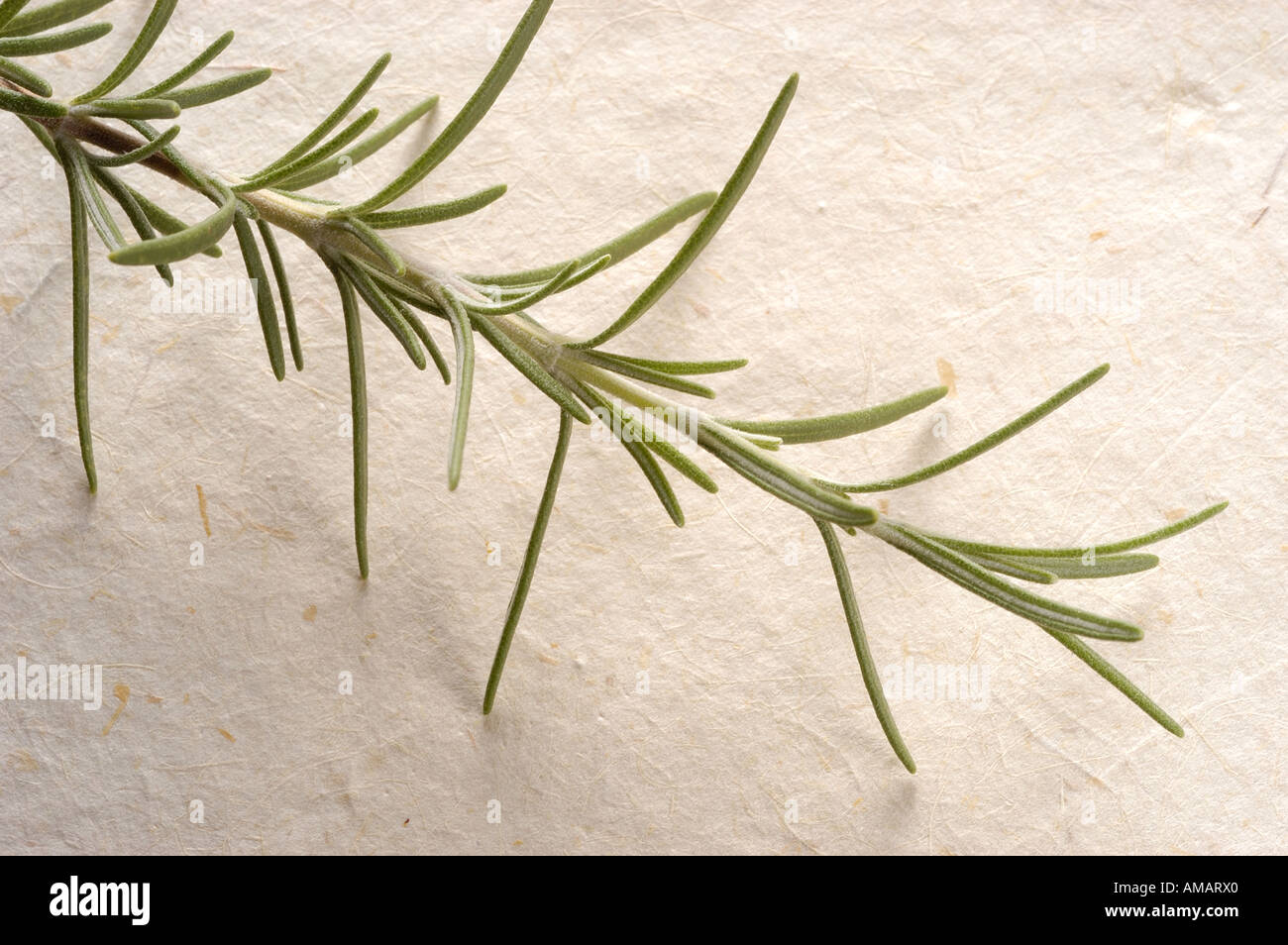 White organic paper texture hi-res stock photography and images - Alamy