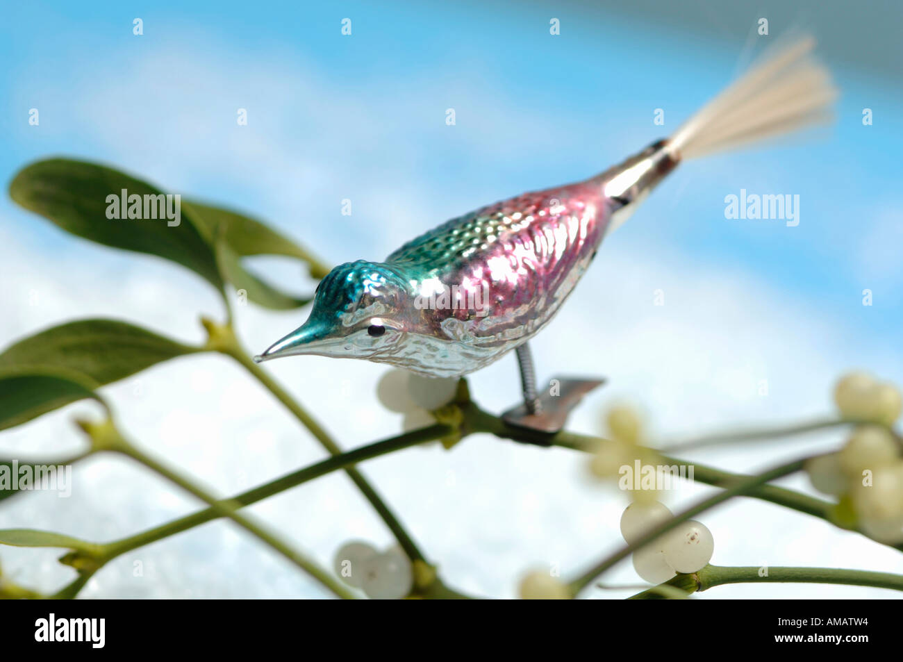 Glass bird hi-res stock photography and images - Alamy