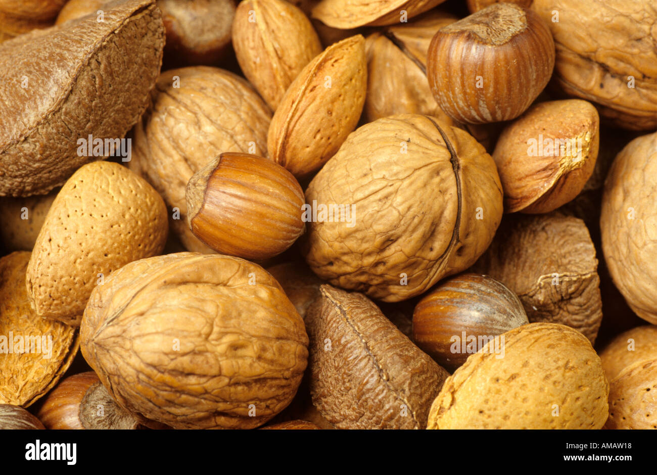 Assorted close up close up nobody detail walnut nut hi-res stock ...