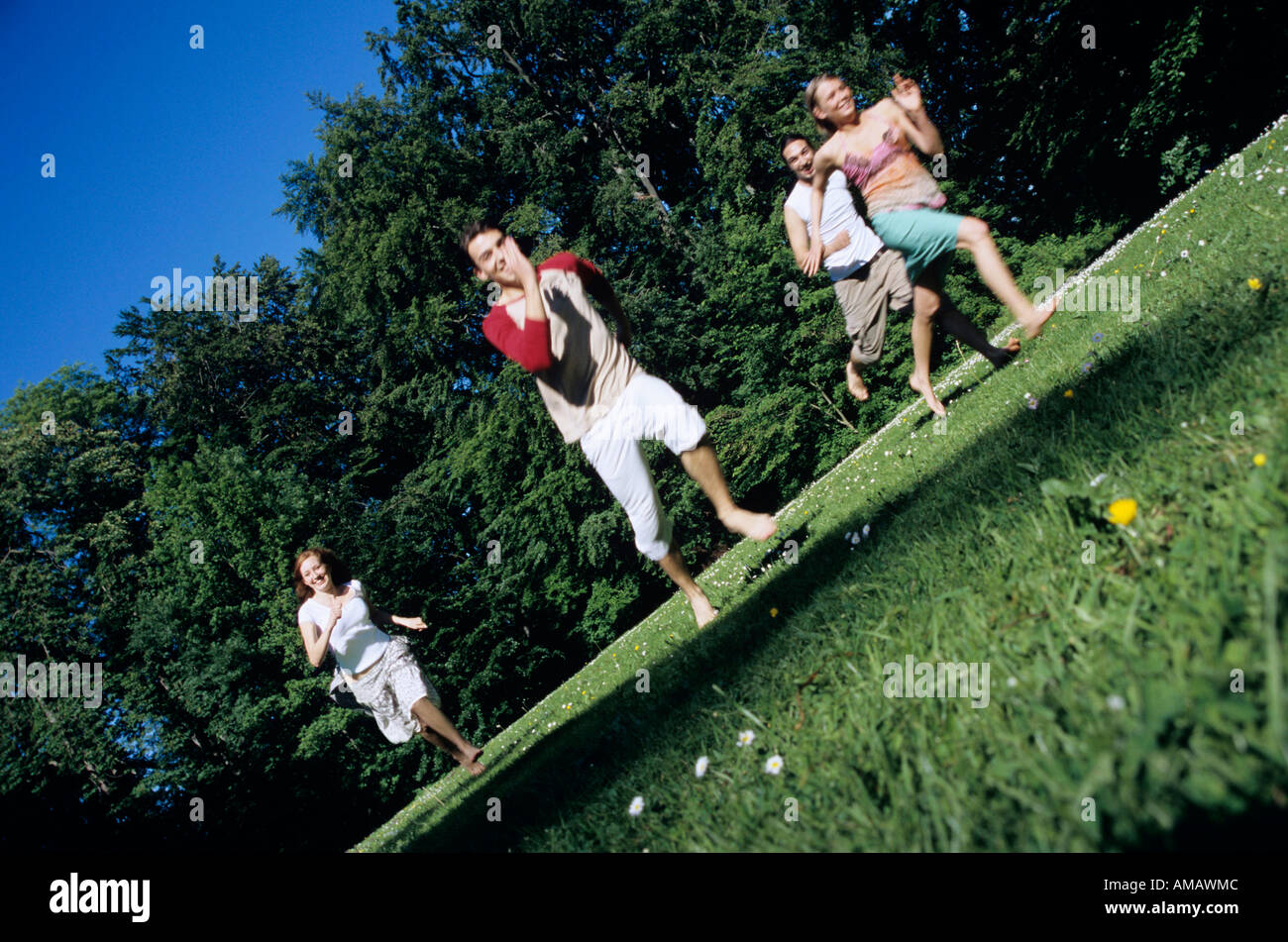 Shot through plants group hi-res stock photography and images - Alamy