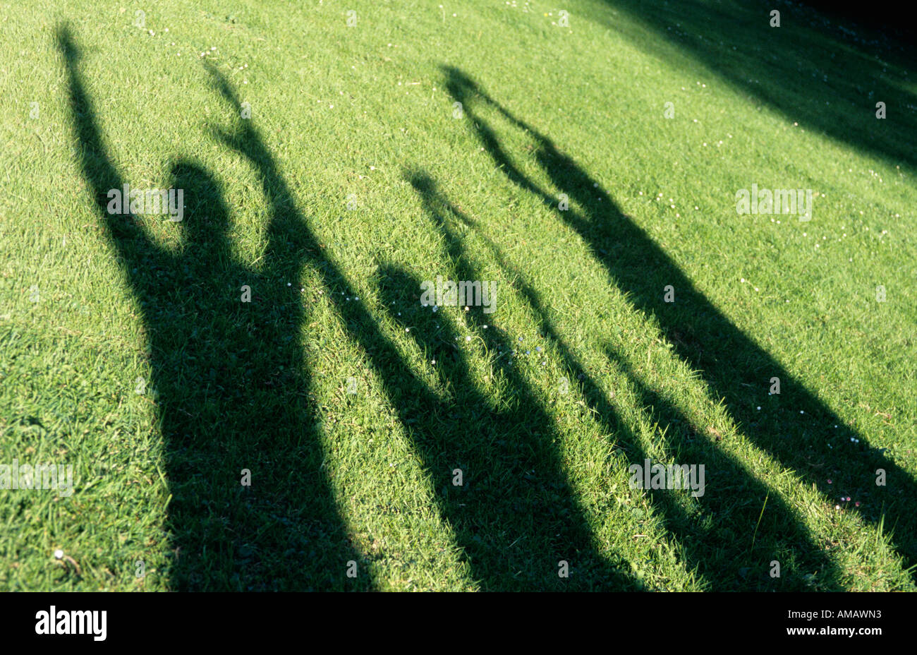 Human shadows on grass, raising arms Stock Photo - Alamy