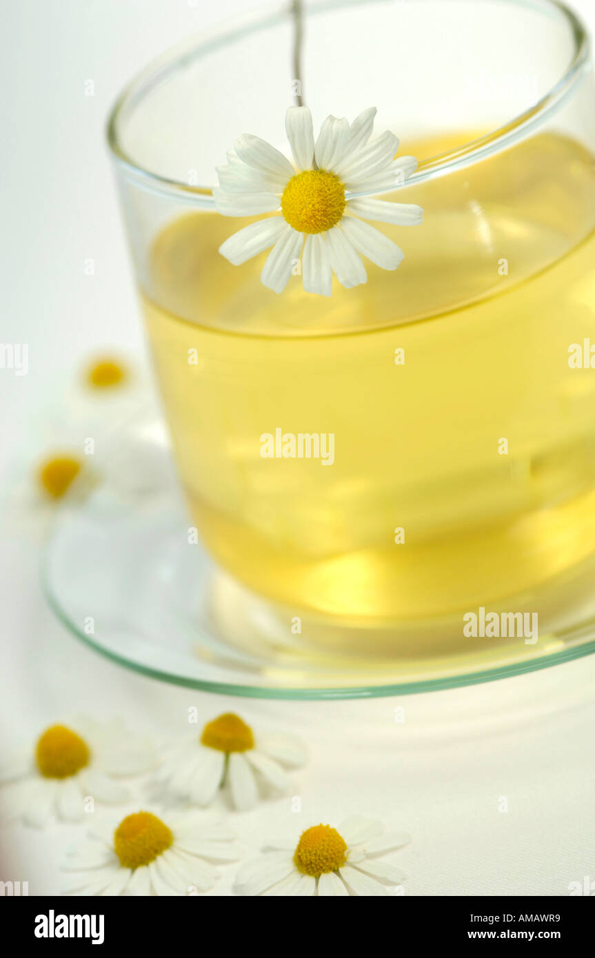 L tea cup hi-res stock photography and images - Alamy