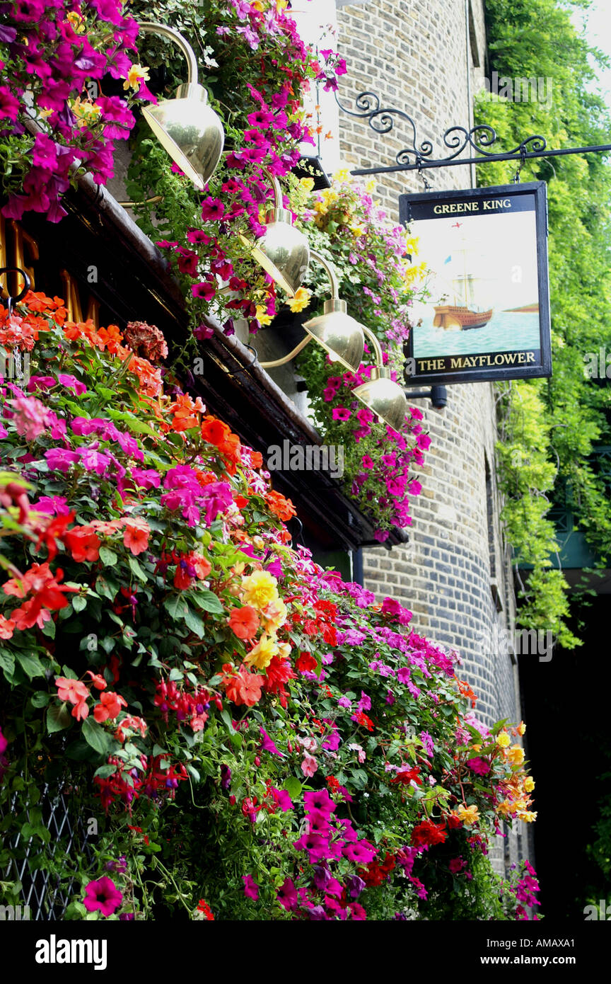 The Mayflower pub beside the Thames Rotherhithe Stock Photo - Alamy