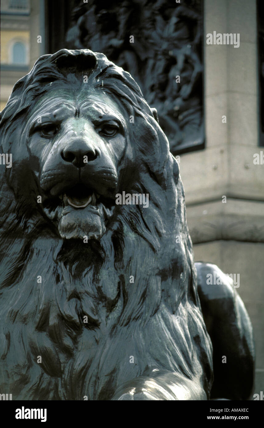 London statue of a lion at Trafalgar square Stock Photo - Alamy
