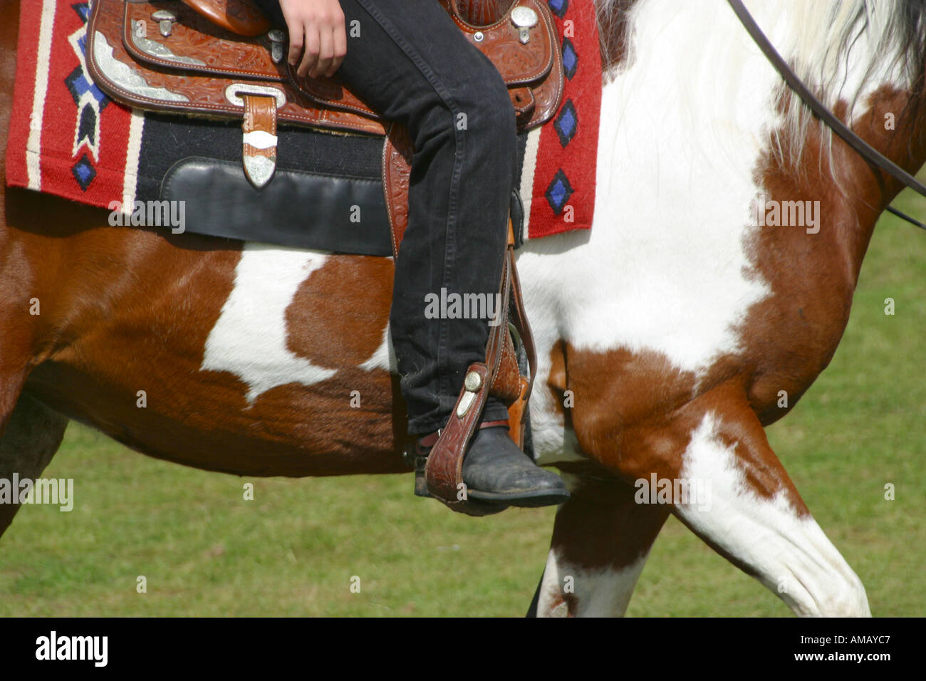 Detail of western style horse rider and tack Stock Photo - Alamy