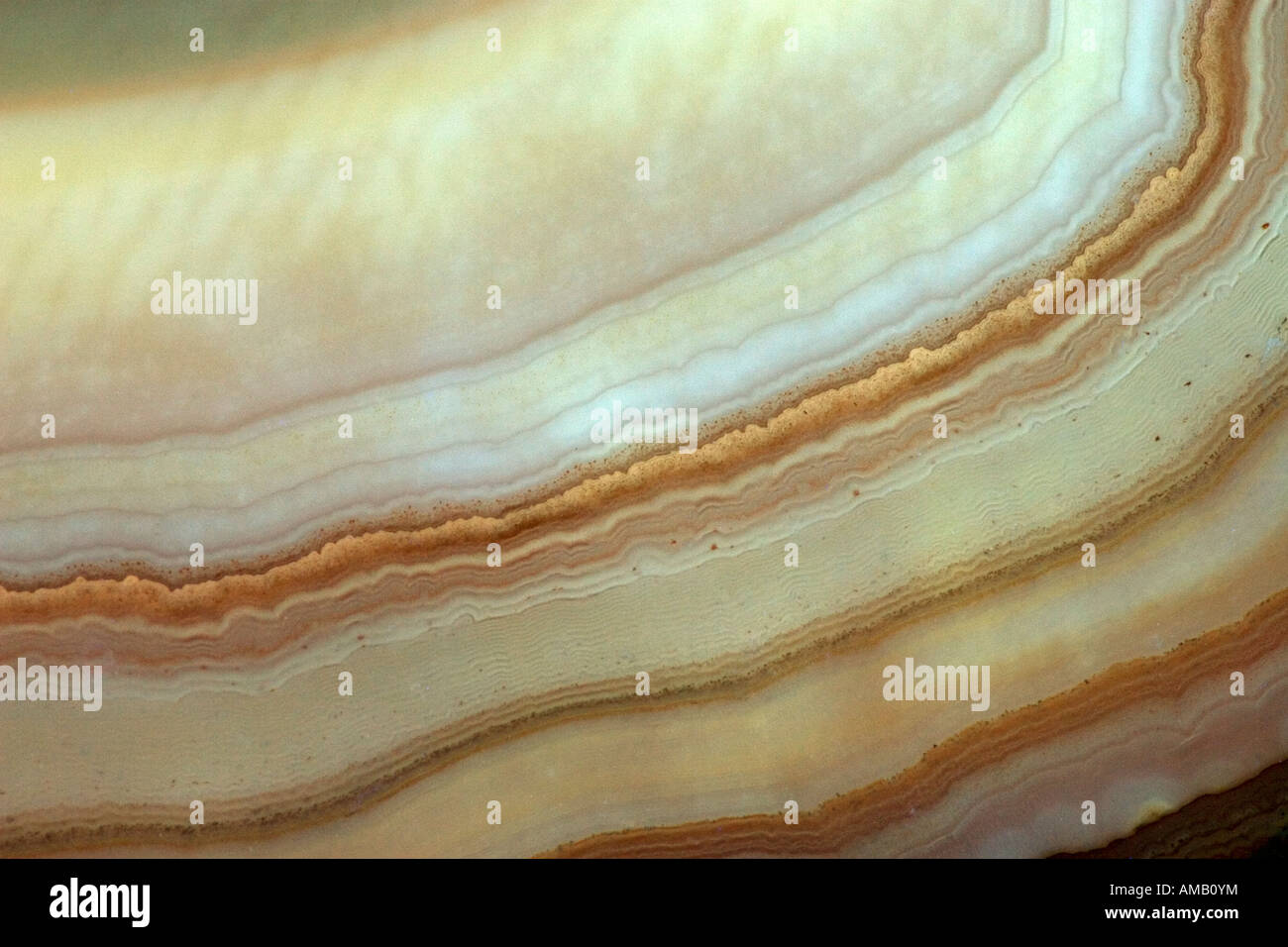 Geode slice hi-res stock photography and images - Alamy
