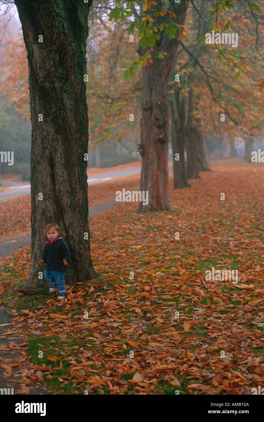 Boy girl hide behind tree hi-res stock photography and images - Alamy