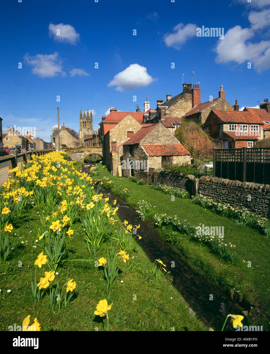 springtime daffodils at Helmsley North Yorkshire Moors UK Stock Photo ...