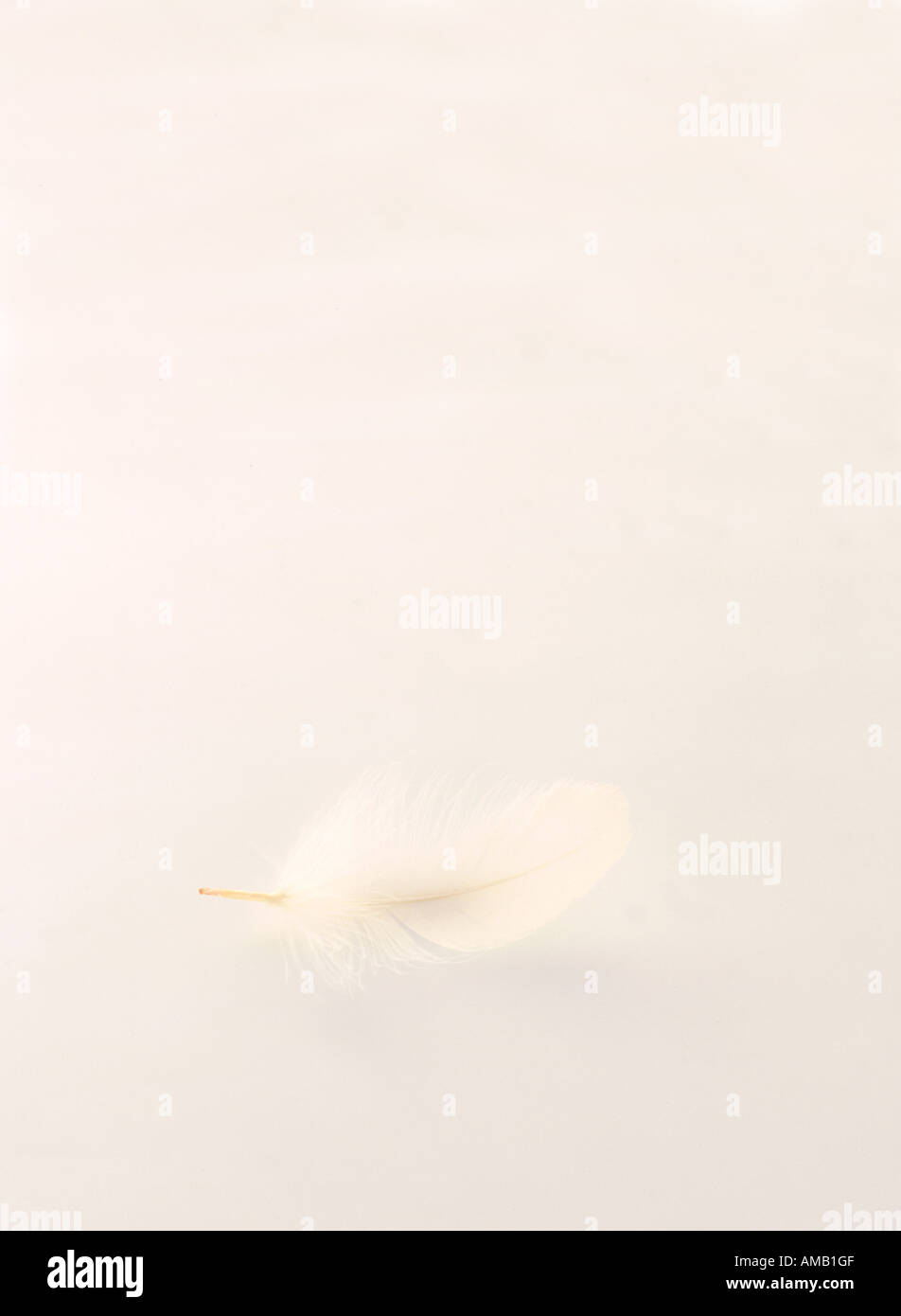 Pure Soft Images Stock Photo - Alamy