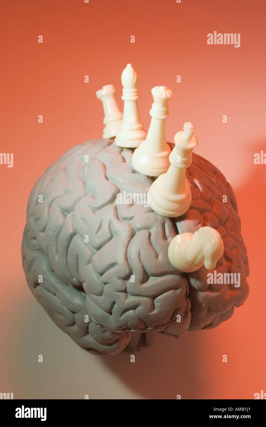 Human Brain with Chess Pieces Stock Photo - Alamy