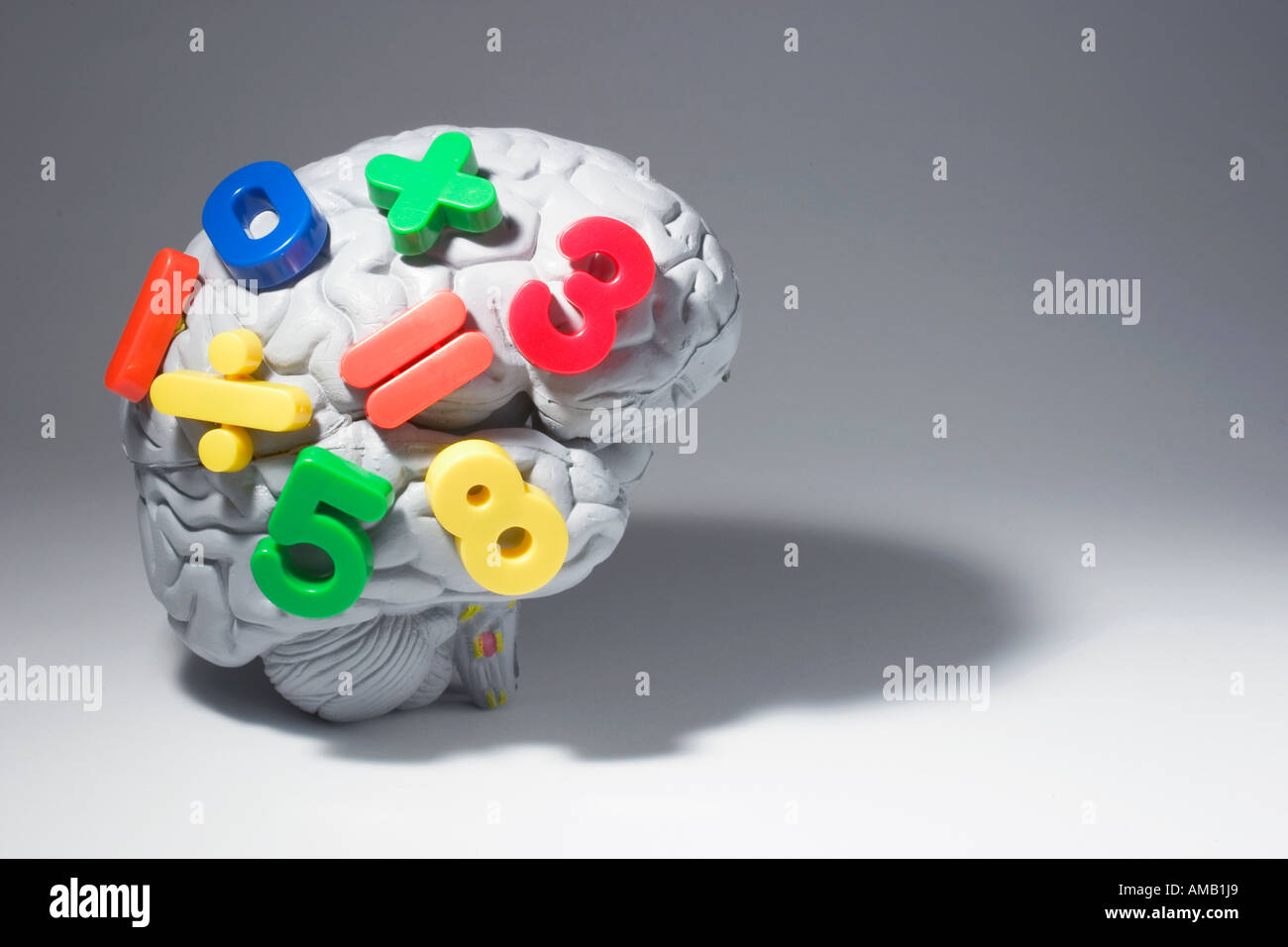 Human Brain with Magnetic Numbers Stock Photo - Alamy