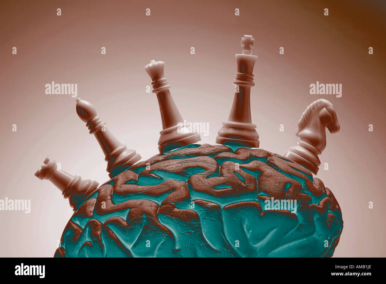 Human Brain with Chess Pieces Stock Photo - Alamy