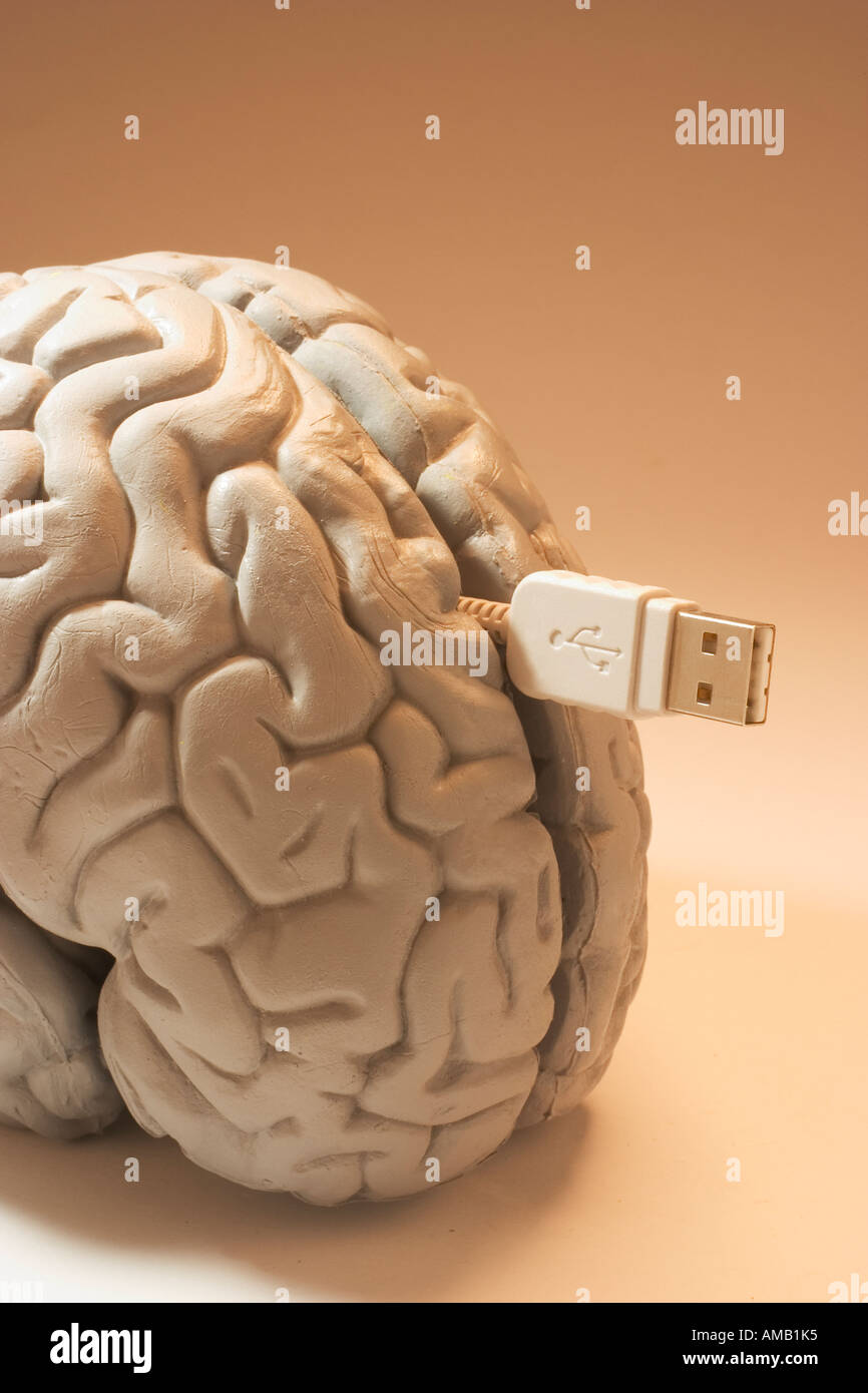 Human Brain and USB Cable Stock Photo - Alamy
