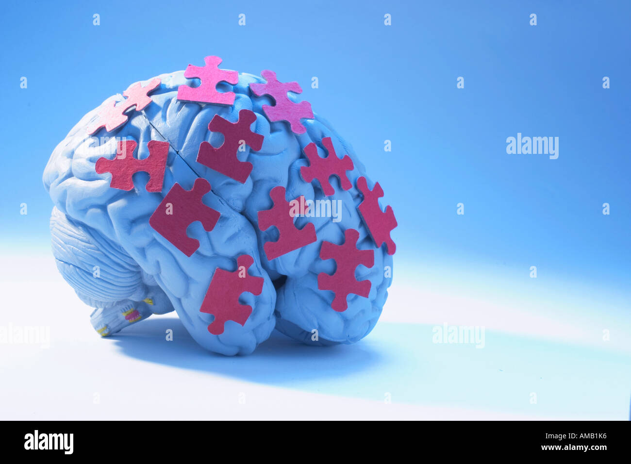 Human Brain and Puzzle Pieces Stock Photo - Alamy