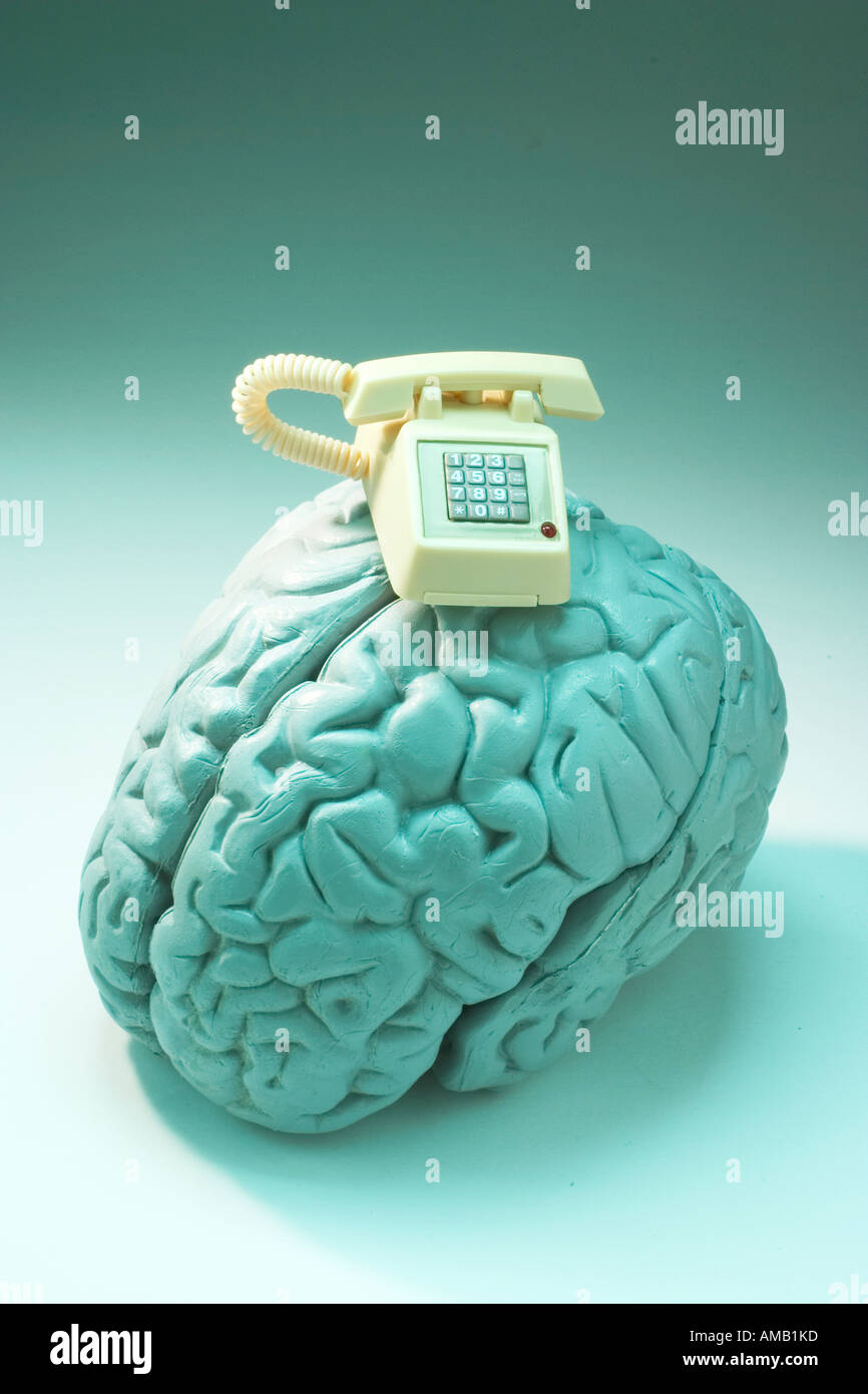 Human Brain with Miniature Telephone Stock Photo - Alamy