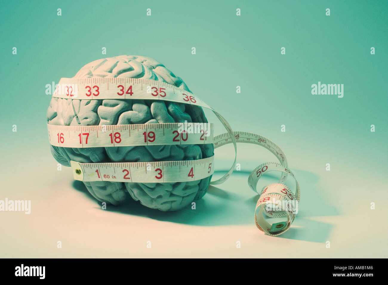 Human Brain and Tape Measure Stock Photo - Alamy