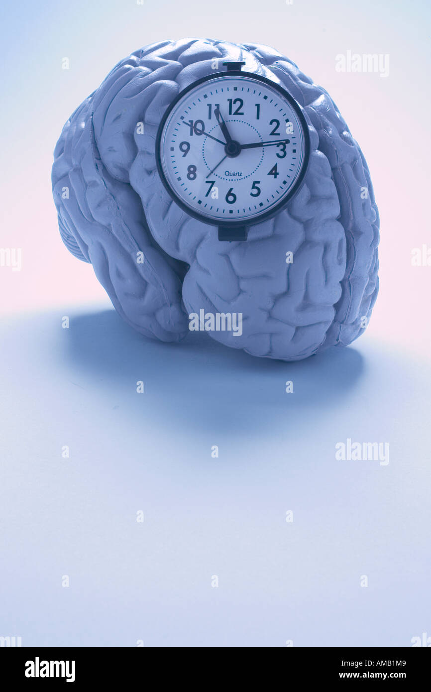 Human Brain and Clock Stock Photo - Alamy