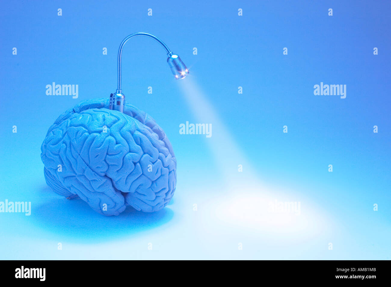 Illuminate brain hi-res stock photography and images - Alamy