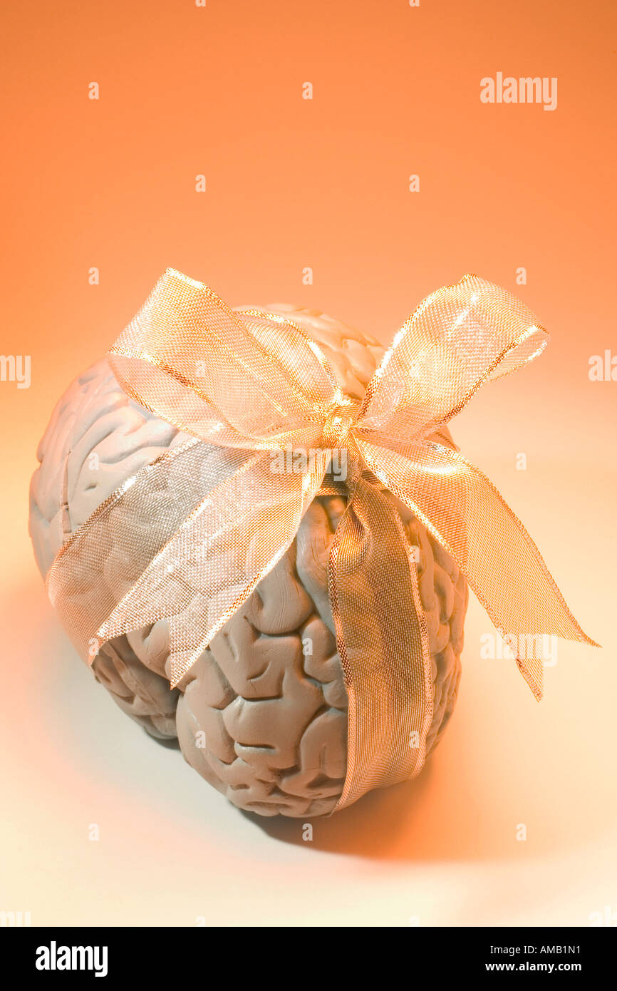 Human Brain with Gift Ribbon Stock Photo - Alamy