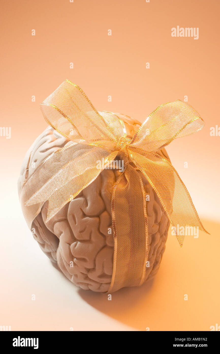 Human Brain with Gift Ribbon Stock Photo - Alamy