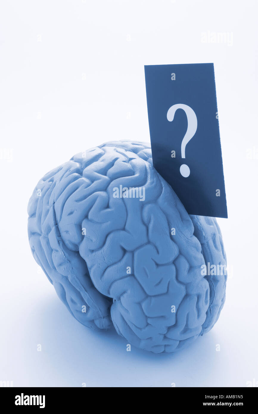 Human Brain and Question Mark Stock Photo - Alamy