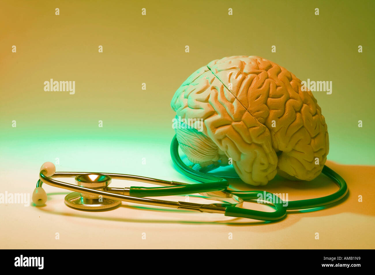 Human Brain with Stethoscope Stock Photo - Alamy