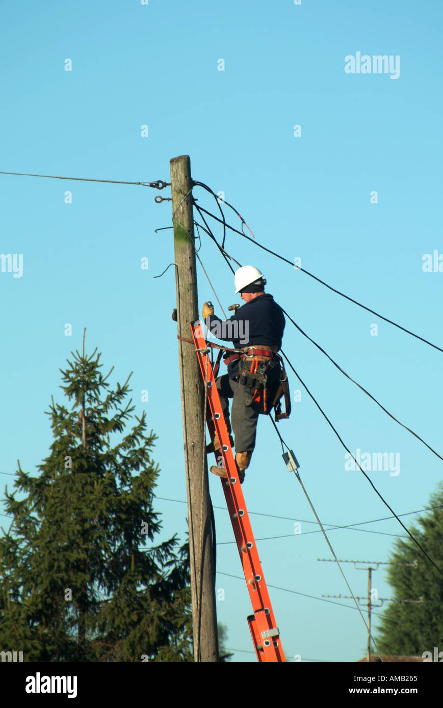 Electricity supply company engineer working on ladder at top of pole ...