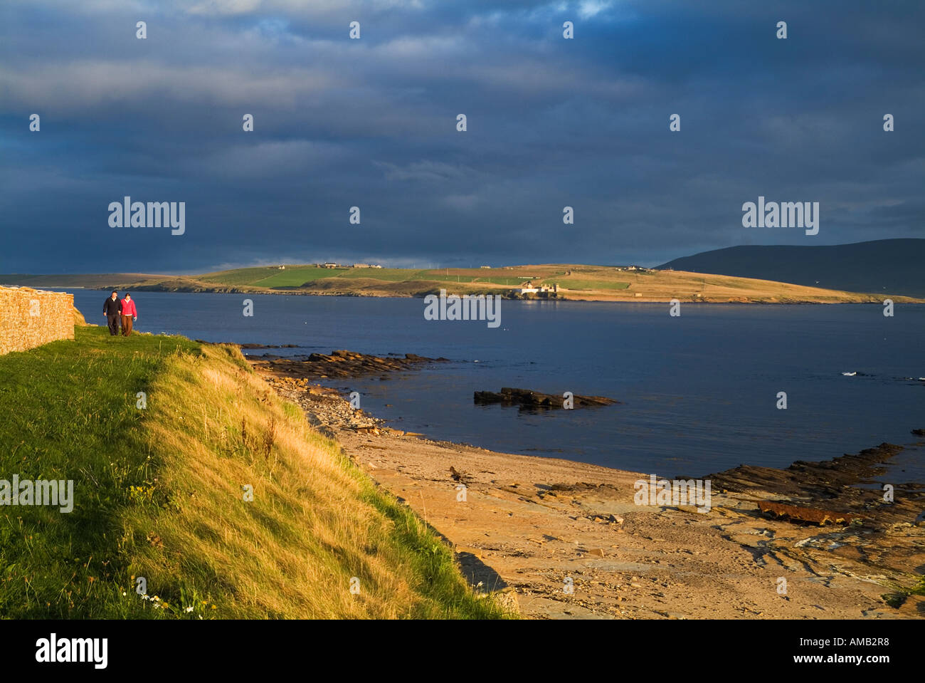 Oxan hi-res stock photography and images - Alamy