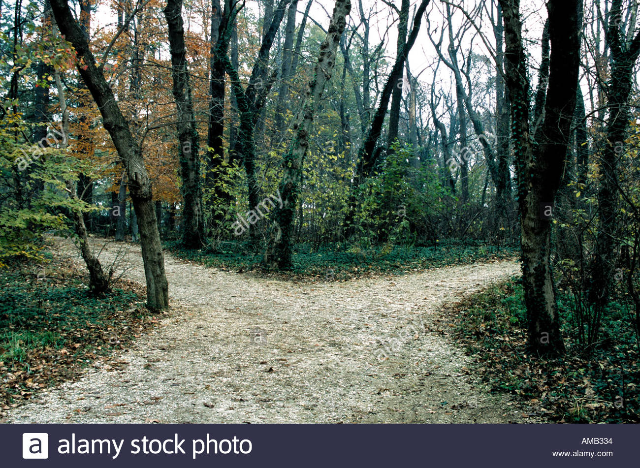 Diverging Path Stock Photos & Diverging Path Stock Images - Alamy