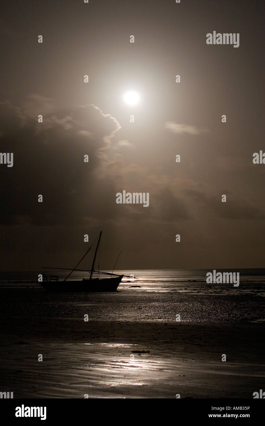 African moonlight hi-res stock photography and images - Alamy