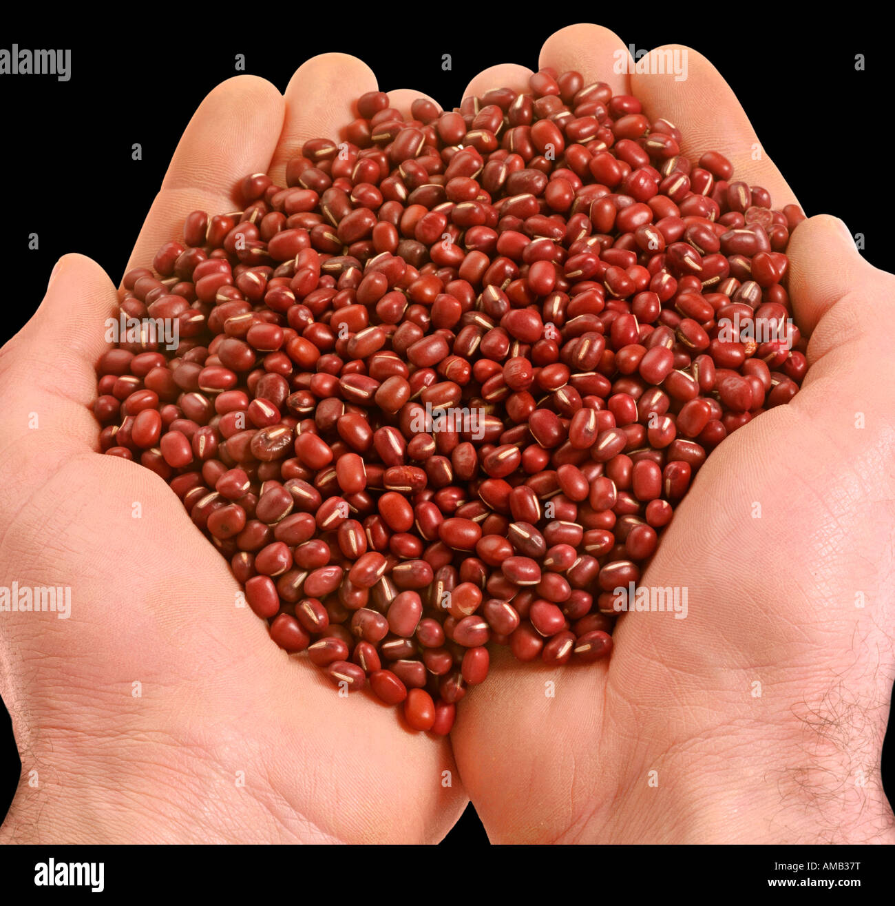 HANDFUL OF ADUKI BEANS Stock Photo - Alamy