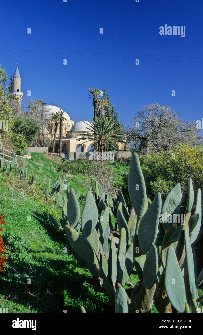 Hala Sultan Tekke mosque. Larnaca Cyprus Stock Photo - Alamy