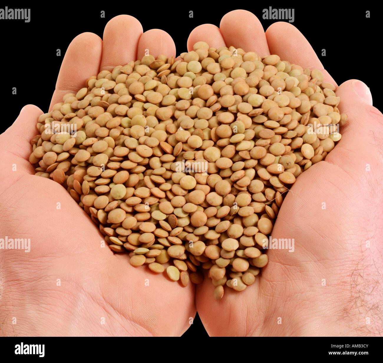HANDFUL OF GREEN LENTILS Stock Photo - Alamy