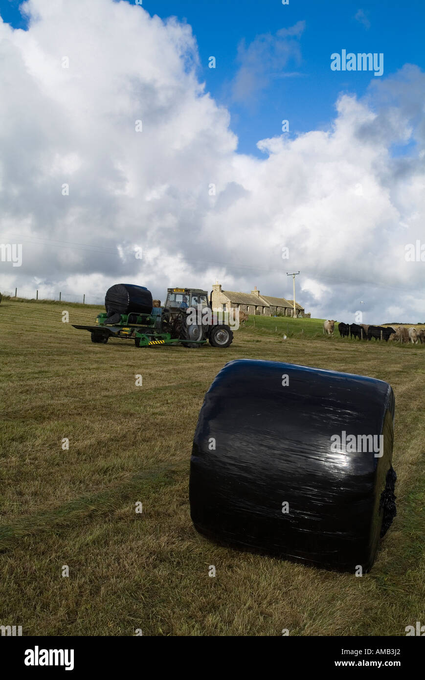 Silage wraps hi-res stock photography and images - Alamy