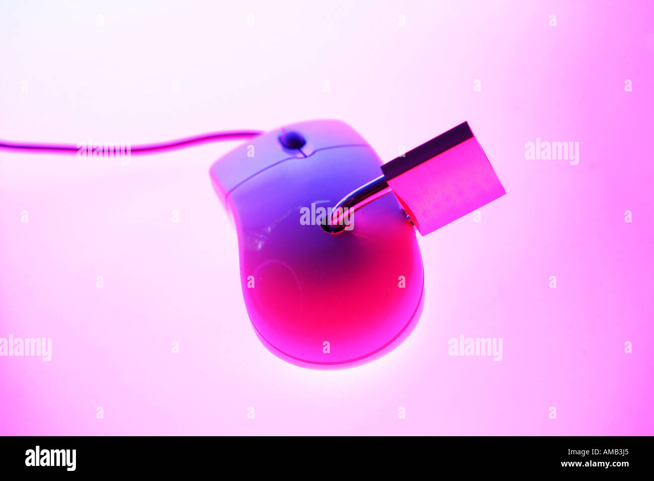 DEU, Germany : Symbolic photo, Internet and computer security. Computer ...