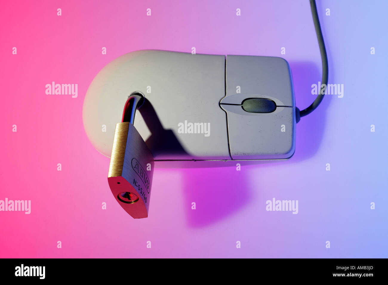 DEU, Germany : Symbolic photo, Internet and computer security. Computer ...