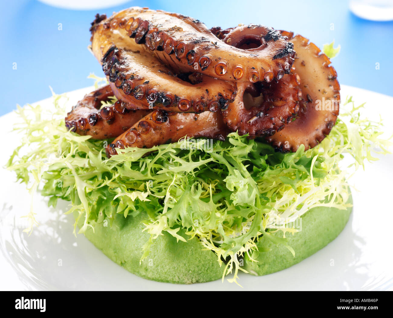 OCTOPUS AND AVOCADO SALAD Stock Photo - Alamy