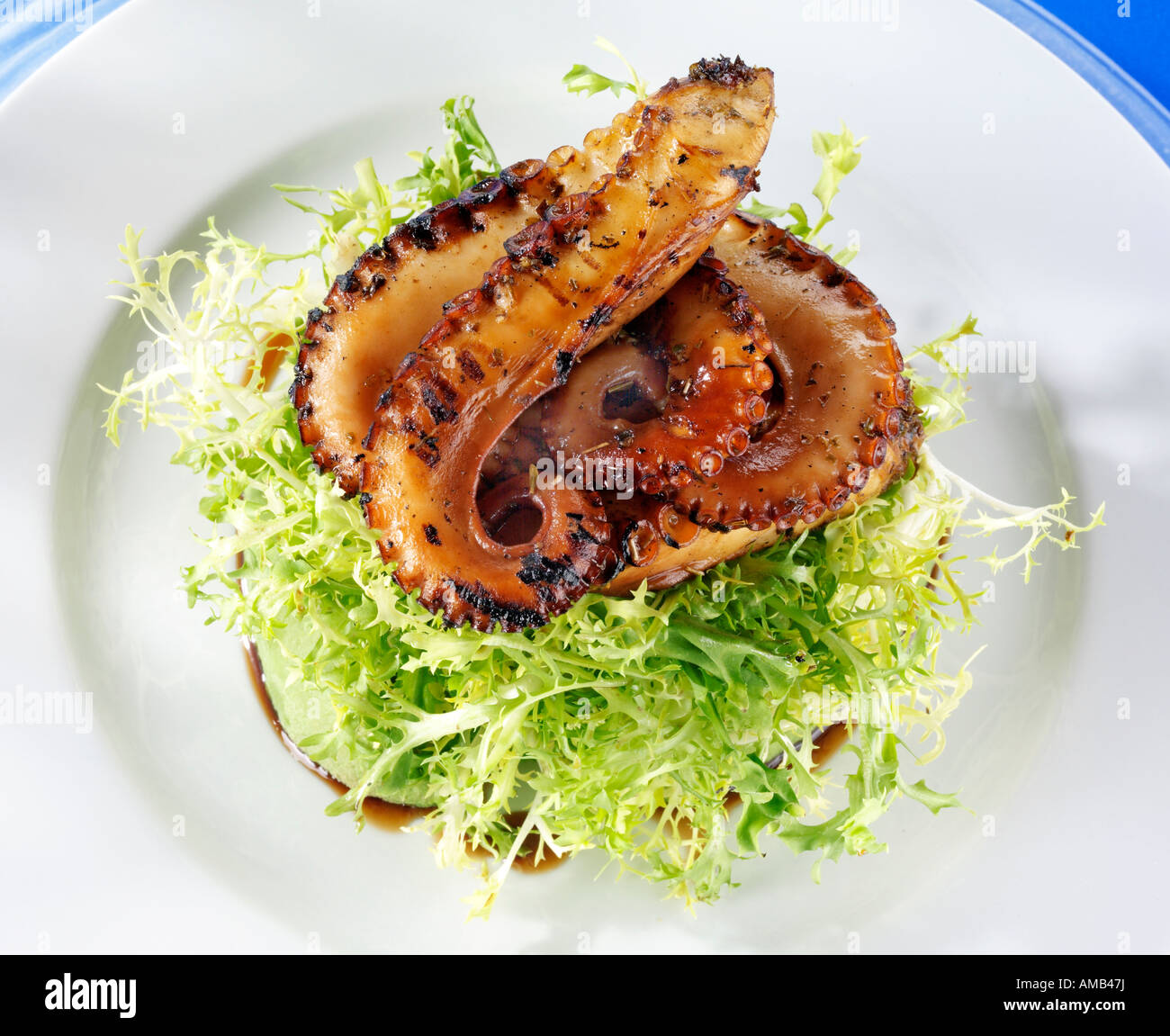 OCTOPUS AND AVOCADO SALAD Stock Photo - Alamy