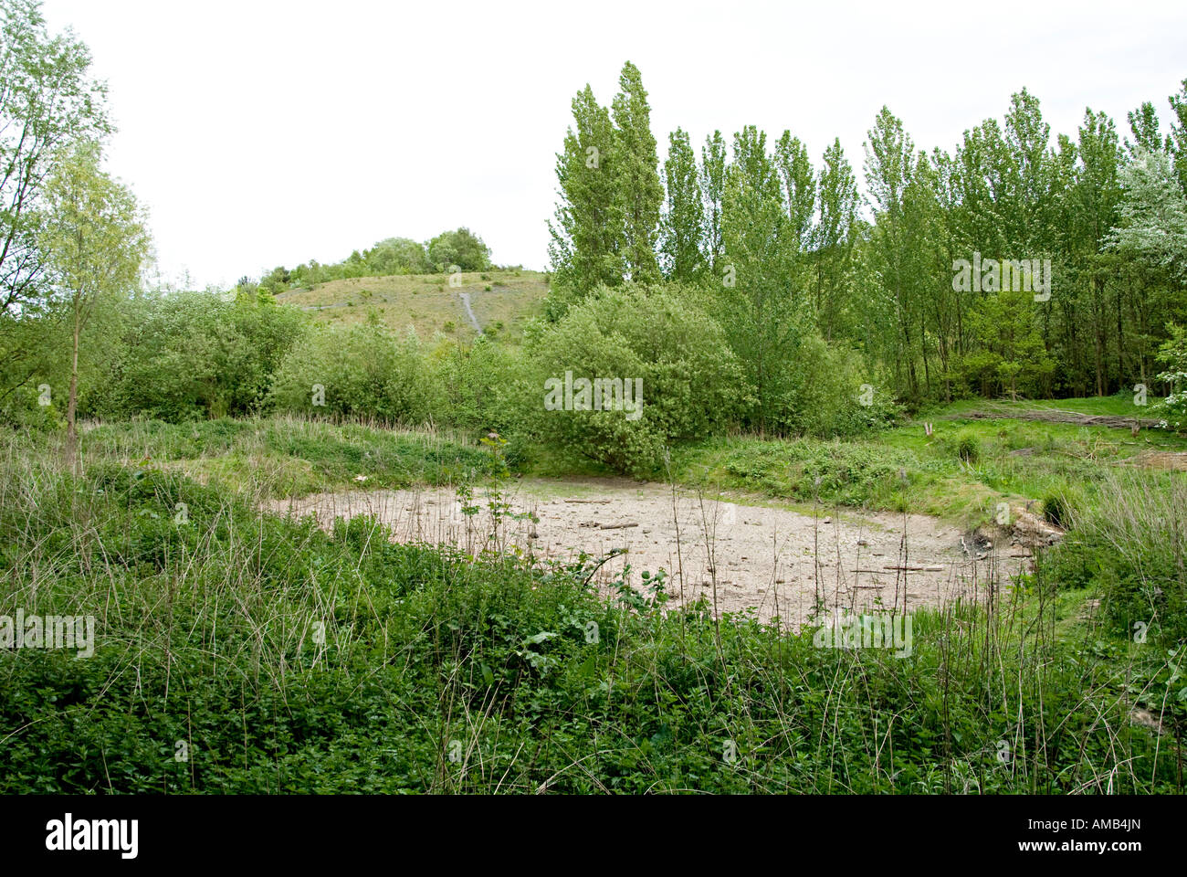 views of baggeridge country park in the west midlands Stock Photo - Alamy