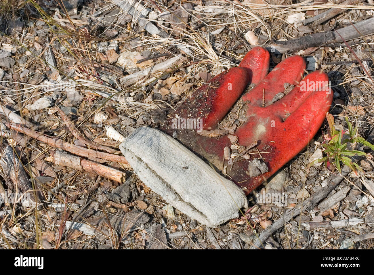 lost glove on ground Stock Photo - Alamy