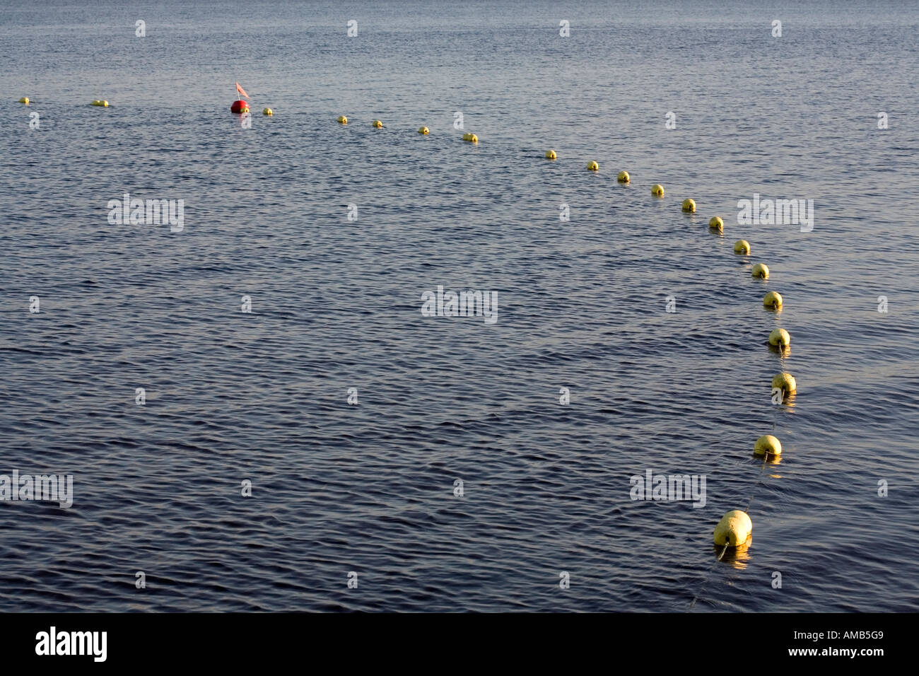 line of buoys Stock Photo - Alamy
